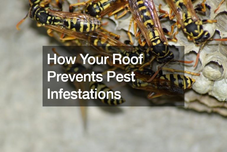 Why You Should Call an Exterminator for Serious Pest Problems - Bug and ...
